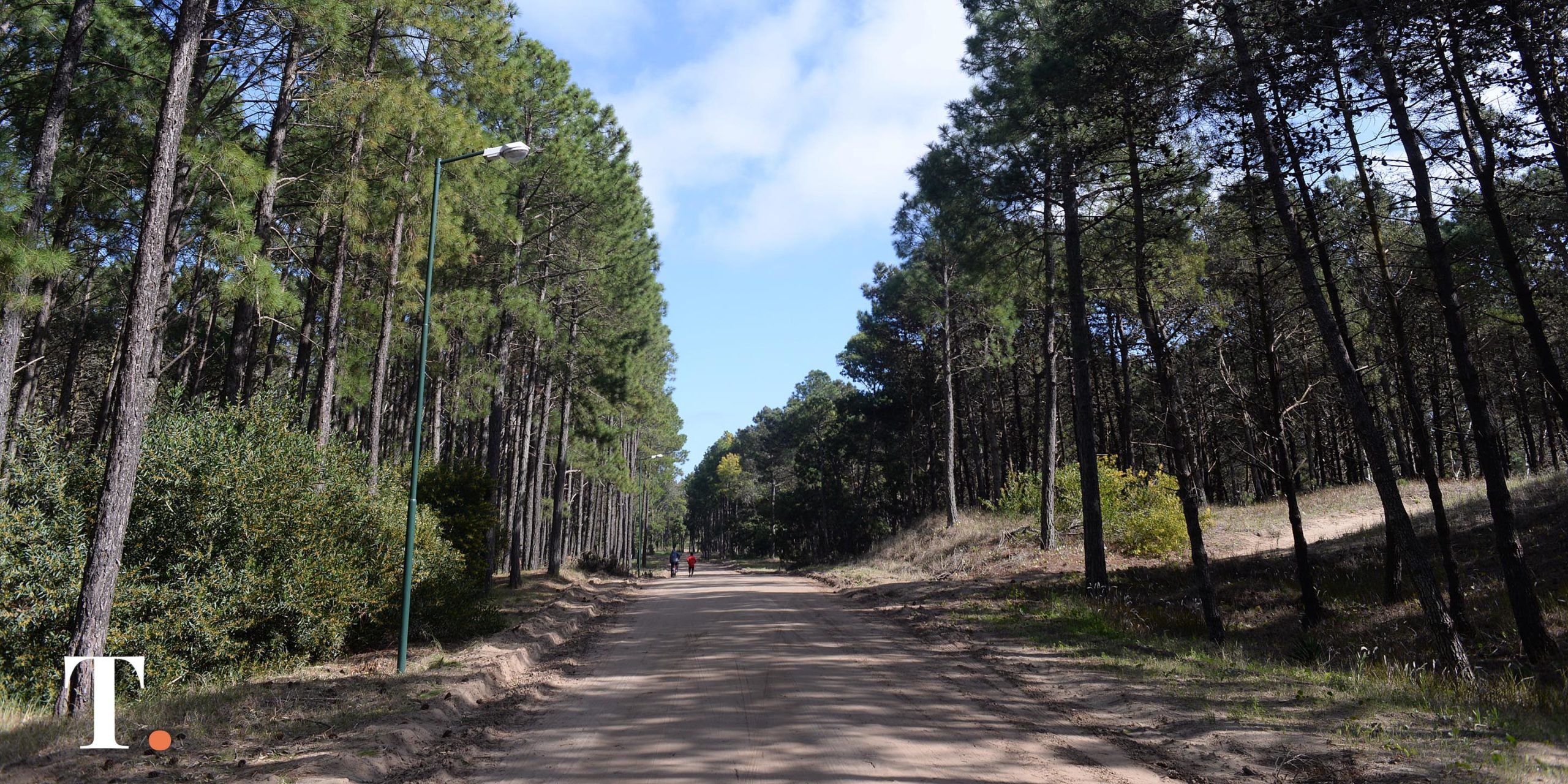 Así es ‘Un león en el bosque’, serie íntegramente filmada en Pinamar