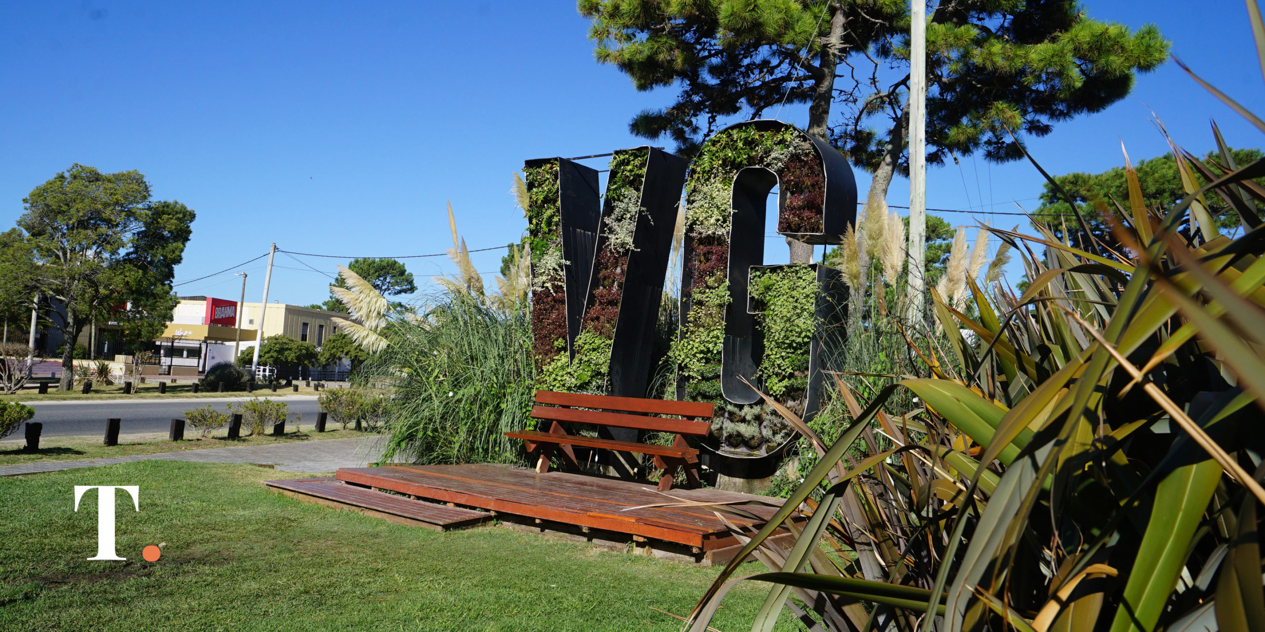 Sigue el programa de reforestación en Villa Gesell: se plantará a fin ...