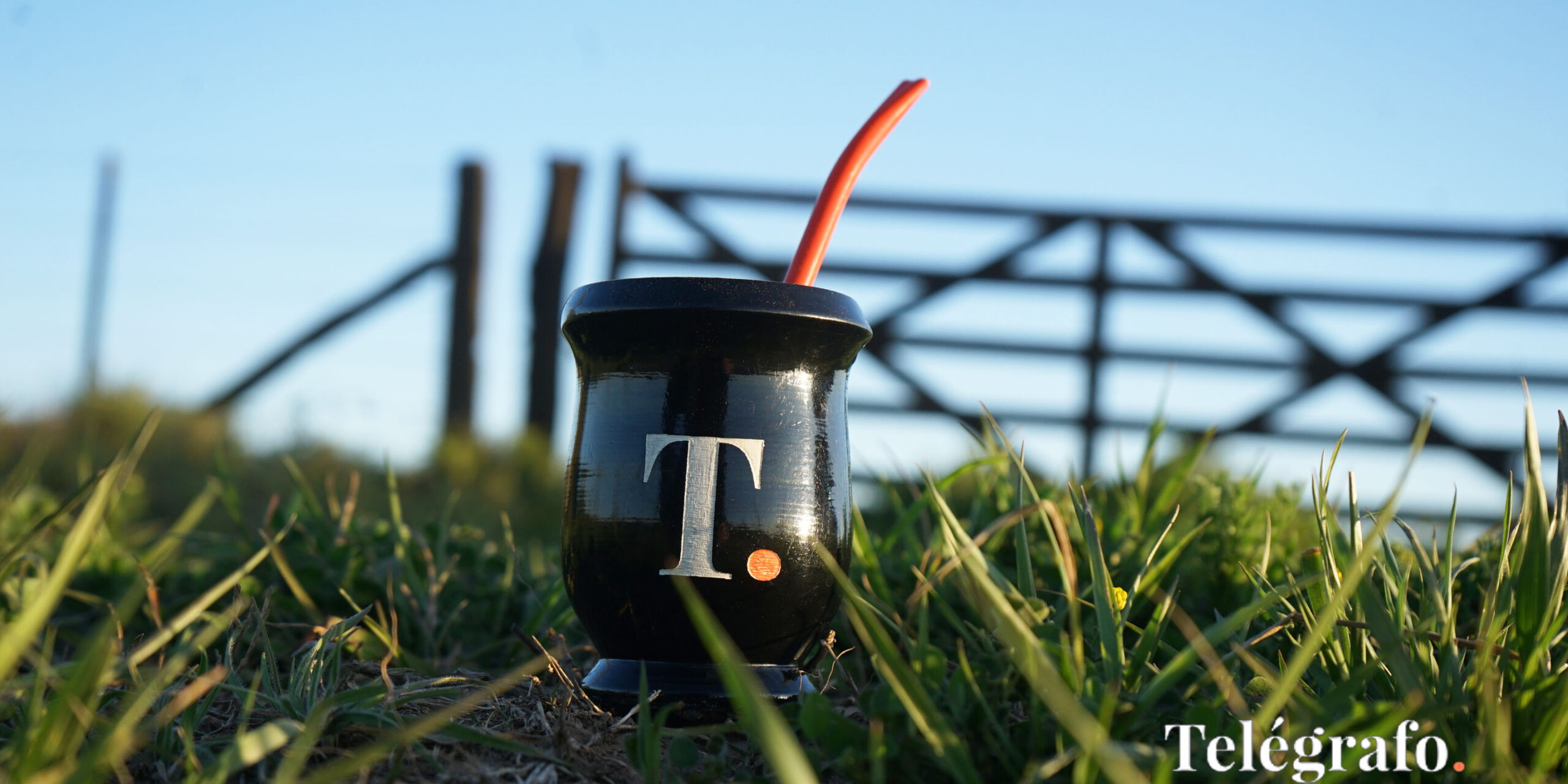 Día nacional del mate: un clásico argentino con beneficios y precauciones